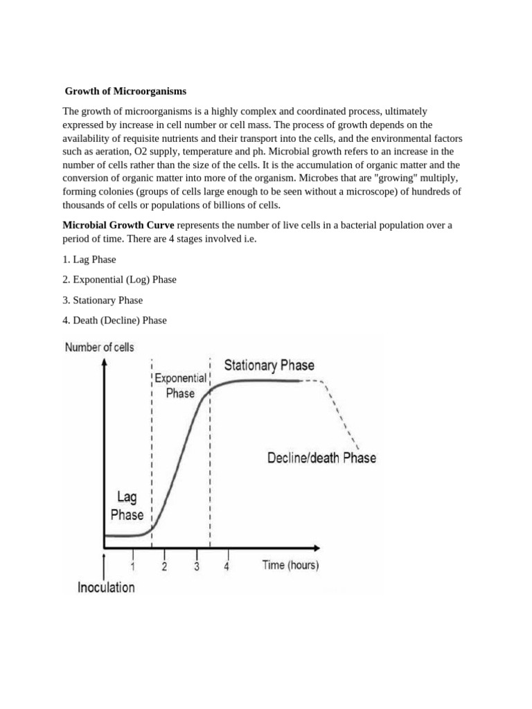 Understanding Microbial Growth Phases | PDF | Microorganism | Microscopy