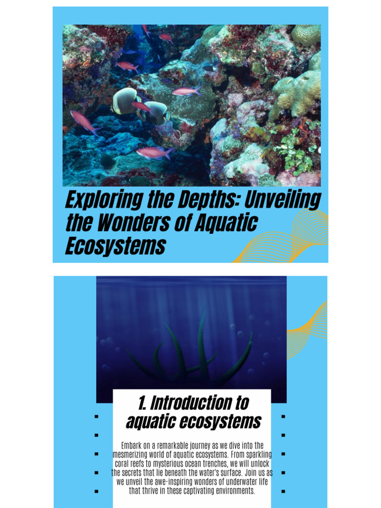 Aquatic Ecosystem | PDF