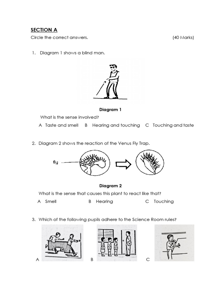 Science Quiz: Senses and Nutrition | PDF | Foods | Tooth