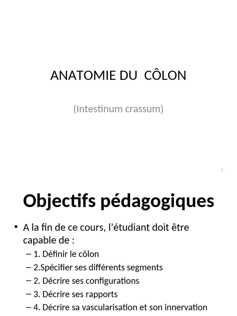 Anatomie et Fonction du Côlon | PDF | Gros intestin | Péritoine