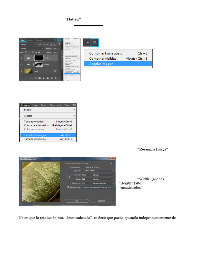 Acoplar y llevar a tamaño | PDF