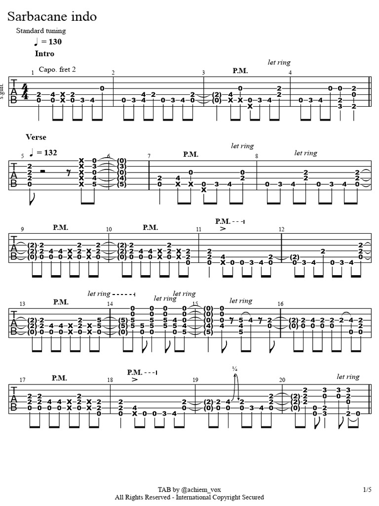 sarbacane | PDF | Guitar Family Instruments | European Musical Instruments