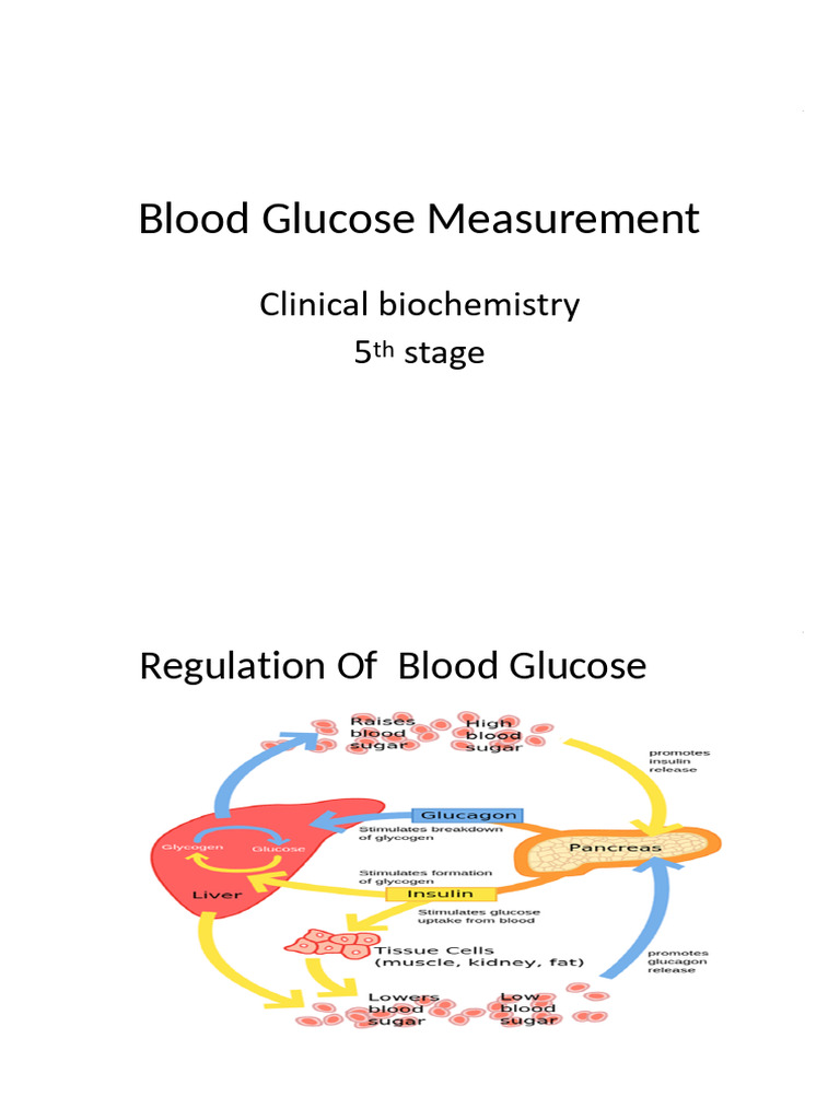 lab 2 (1).pdf | PDF | Hyperglycemia | Glucose