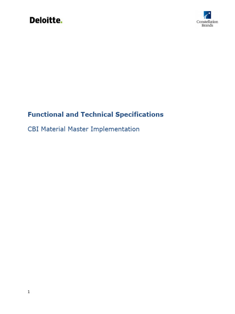 MDM Specs for CBI Implementation | PDF | Hierarchy | Databases