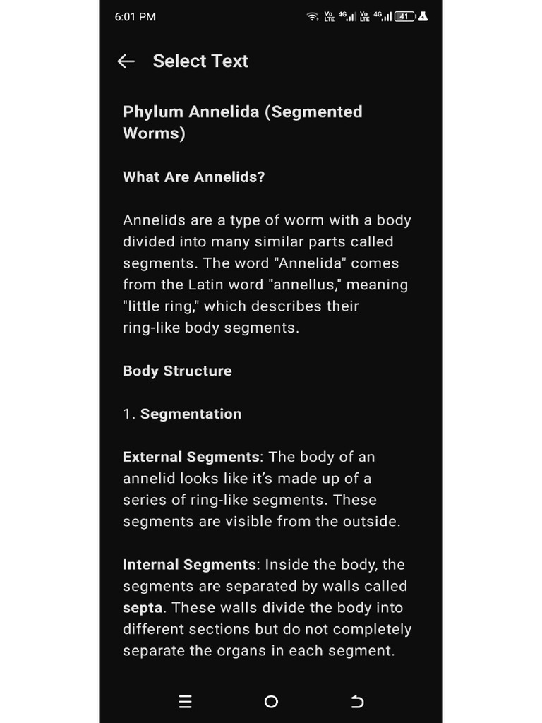 Phylum Annelida | PDF