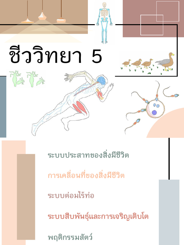 Slide Bio 5 Unit 18-22 | PDF
