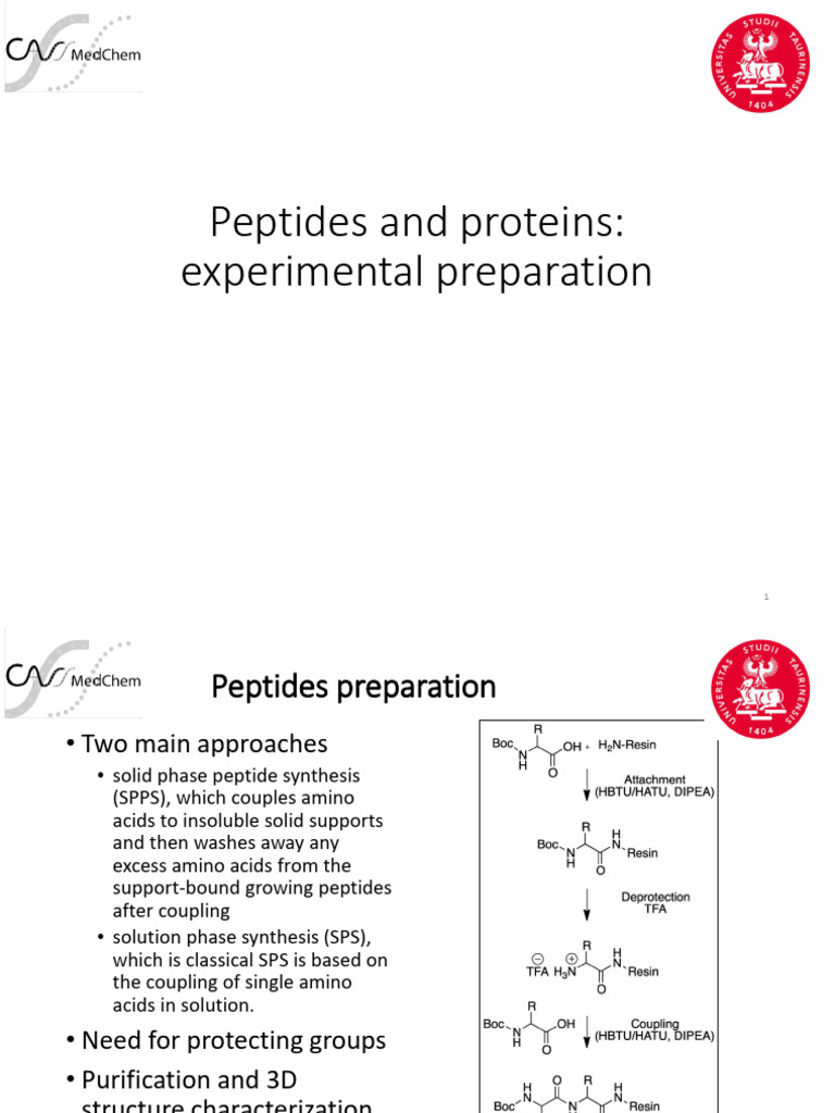 Protein Exp Structure | PDF | Angular Resolution | Docking (Molecular)