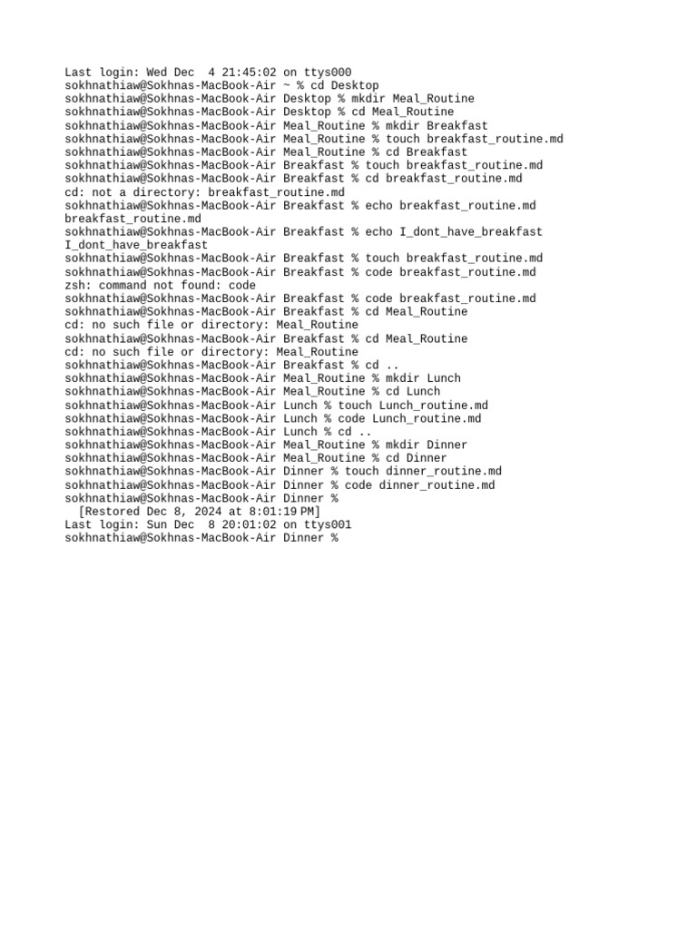 Terminal Saved Output | PDF