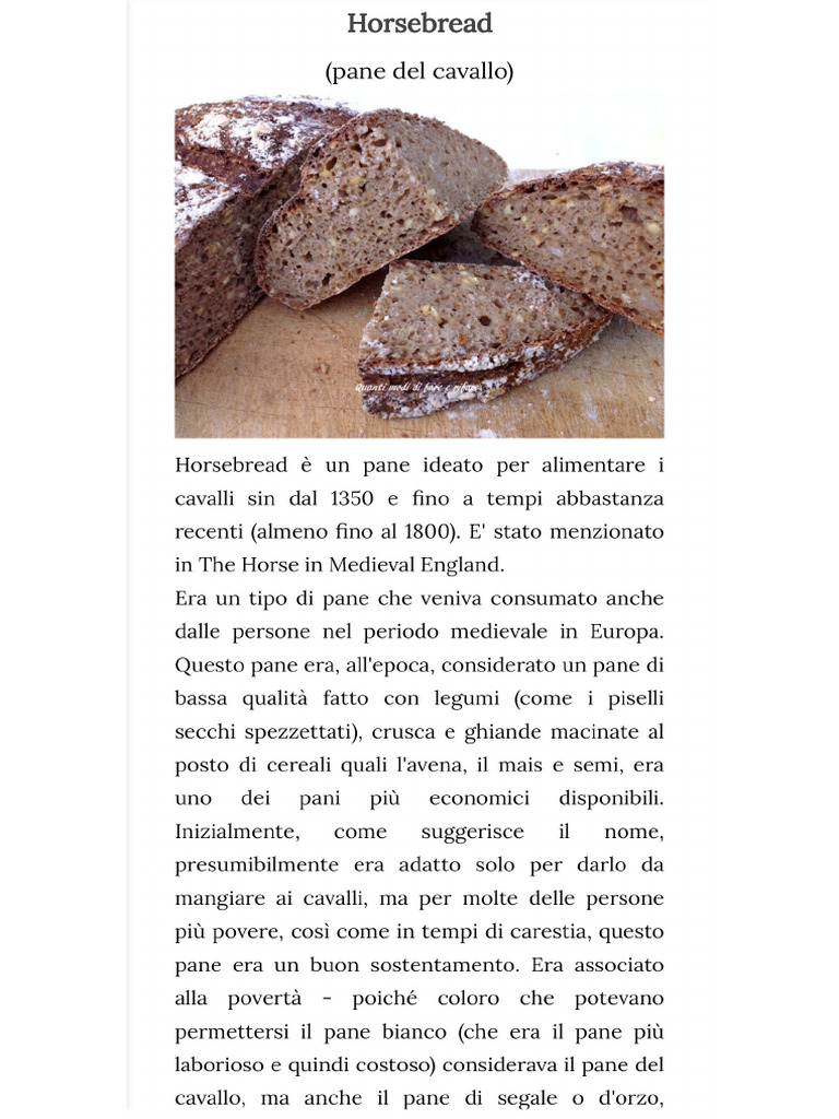 Ricetta Pane Horsebread | PDF