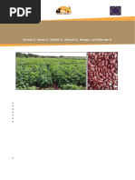 Covo Rugare Gold PLUS | PDF | Fertilizer | Seed