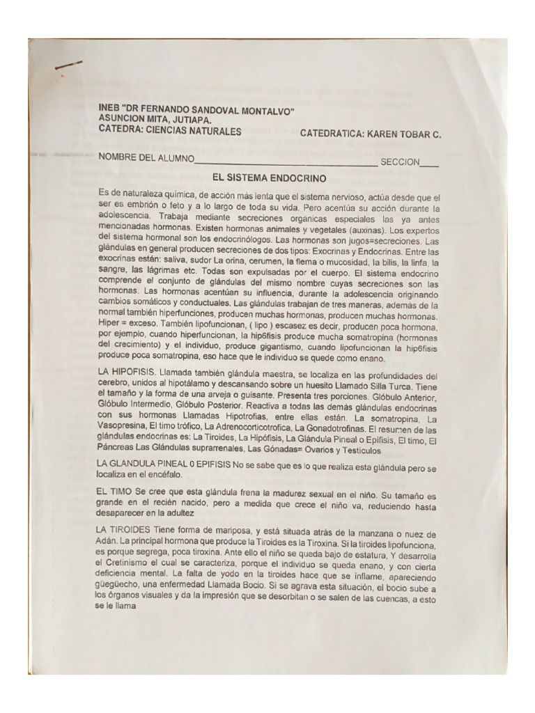 Documentos Escaneados 1 | PDF