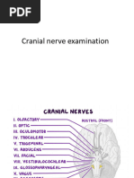 Oral Mechanism Exam Report | PDF | Tongue | Human Anatomy