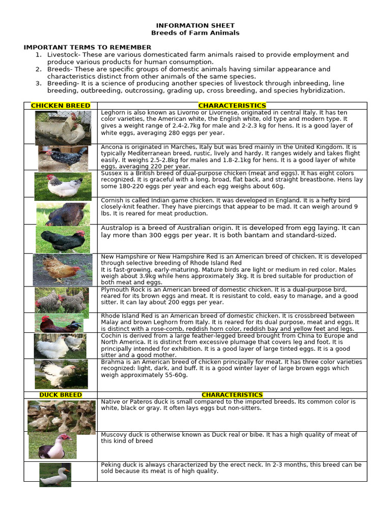 Characteristics of Farm Animal Breeds | PDF | Goat | Cattle