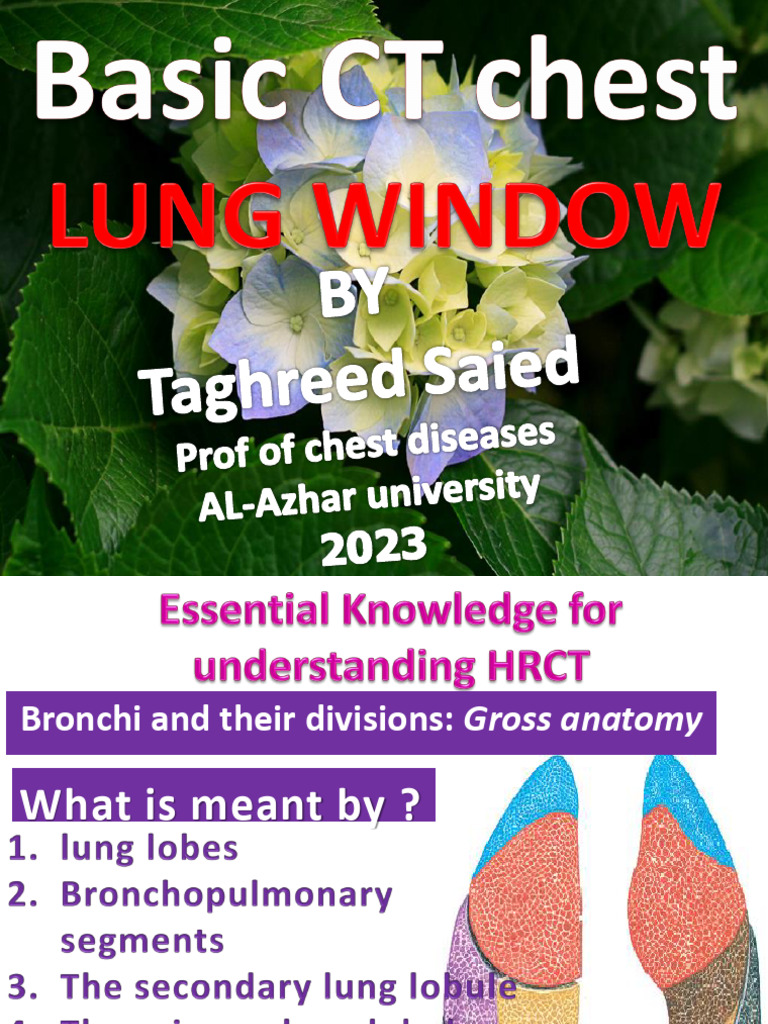 Lec No 98 CT Chest Lung Window Diffuse Pathology 2023 P Taghred Saeid ...
