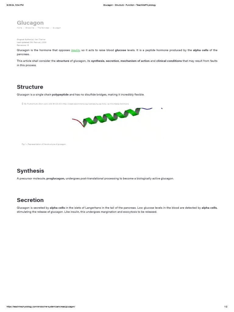 Glucagon - Structure - Function - TeachMePhysiology | PDF | Pancreas ...