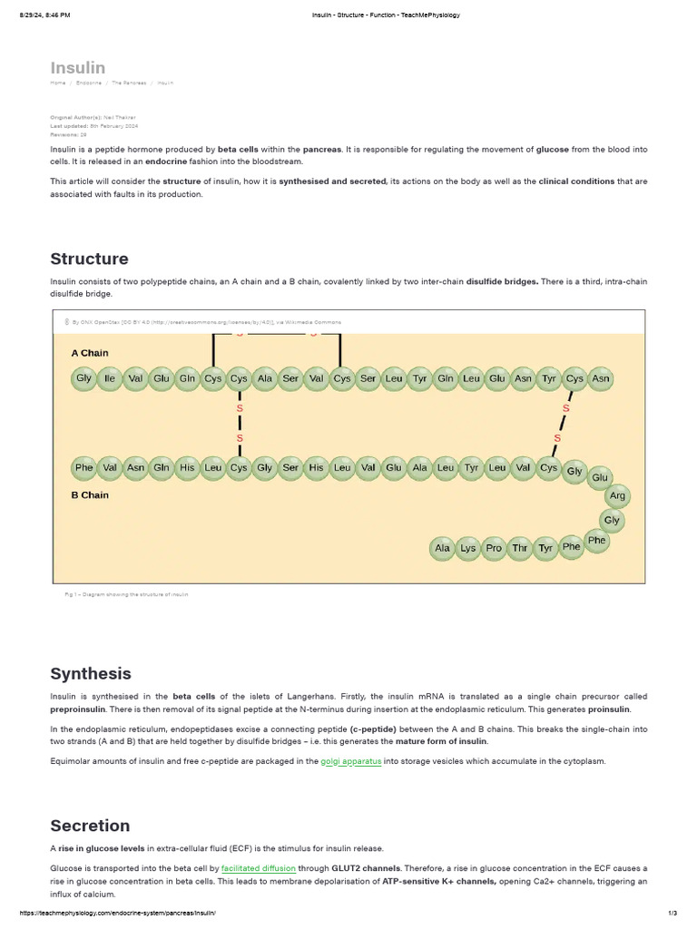 Insulin: Structure, Function, and Diabetes | PDF | Insulin | Diabetes