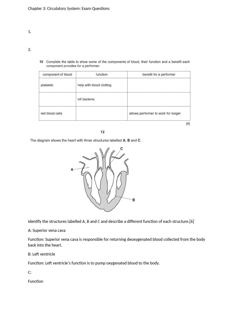 Chapter 3 Circulatory System | PDF