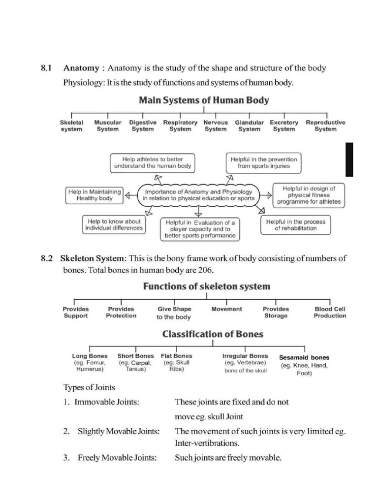 ch 7 anatomy & physiology (1) | PDF
