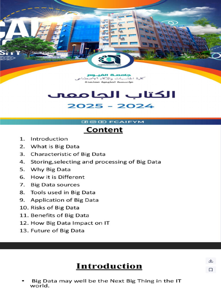 Lect 2 Big Data and Data Visualization | PDF