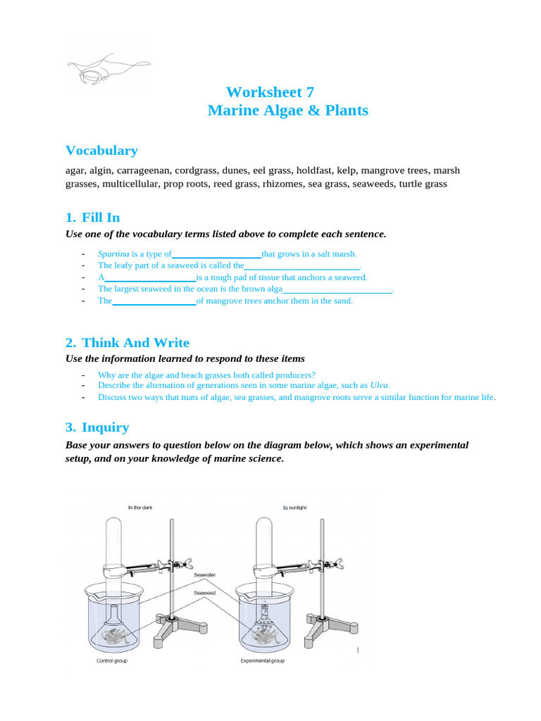 Marine Algae & Plants Worksheet 7 | PDF | Seaweed | Algae