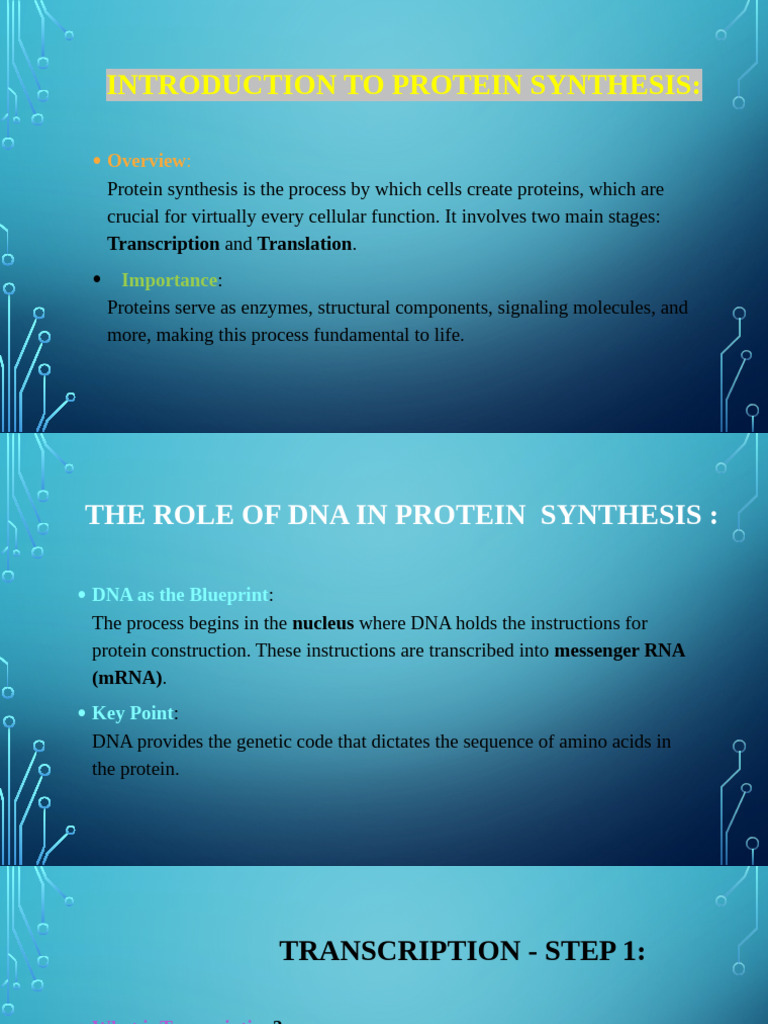 Protein Synthesis | PDF | Translation (Biology) | Messenger Rna