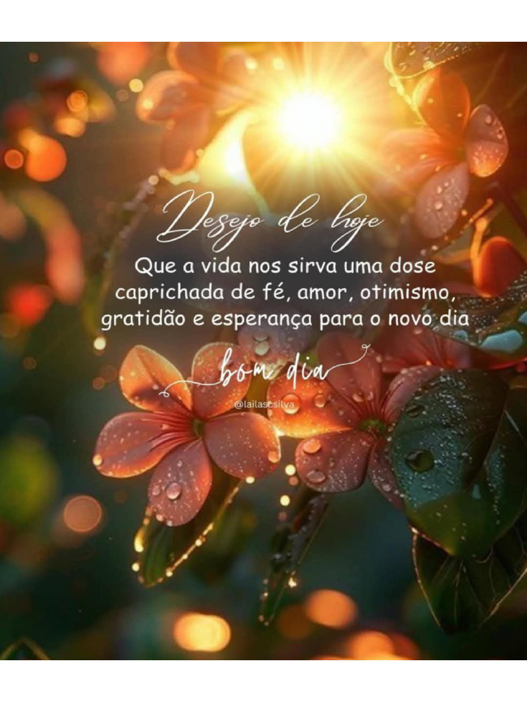 PDFReader 20250101 1010 | PDF