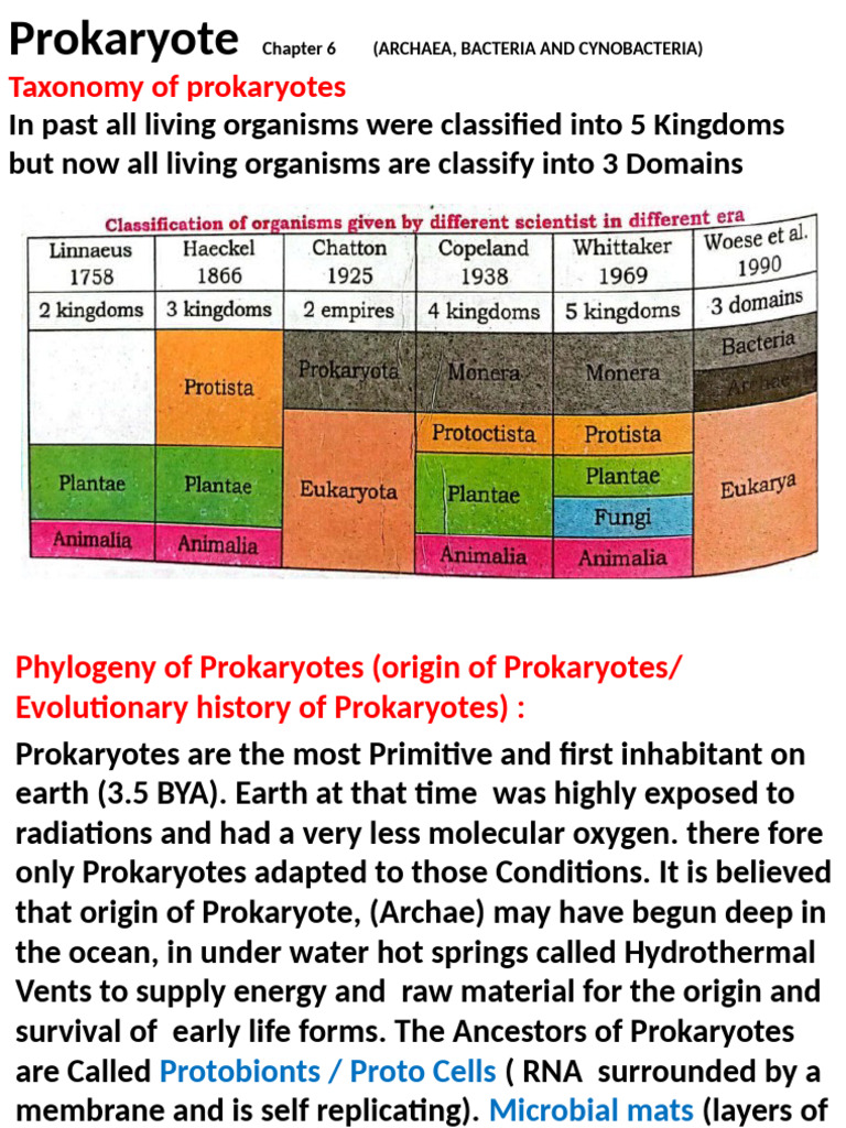 Prokaryotic Life: Structure and Function | PDF | Bacteria | Prokaryote