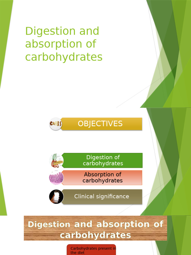 Digestion and Absorption of Carbohydrates 5 | PDF | Digestion ...