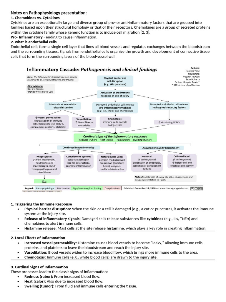 rectal-adenocarcinoma-notes | PDF | Inflammation | Immune System