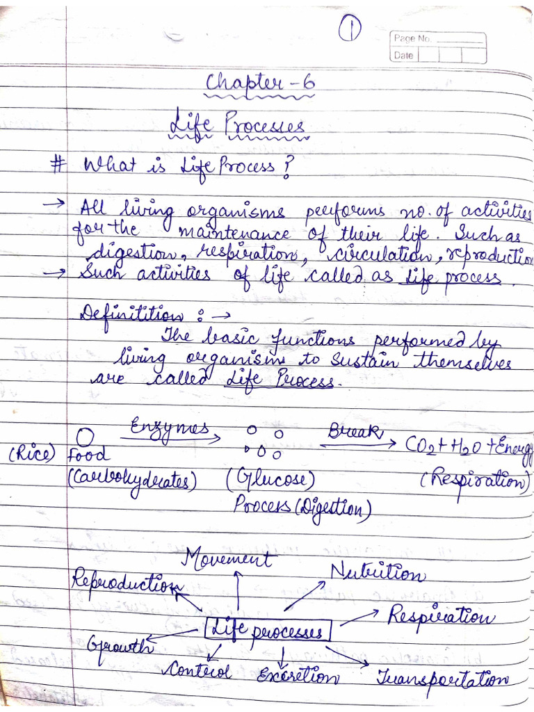 Life Process New | PDF