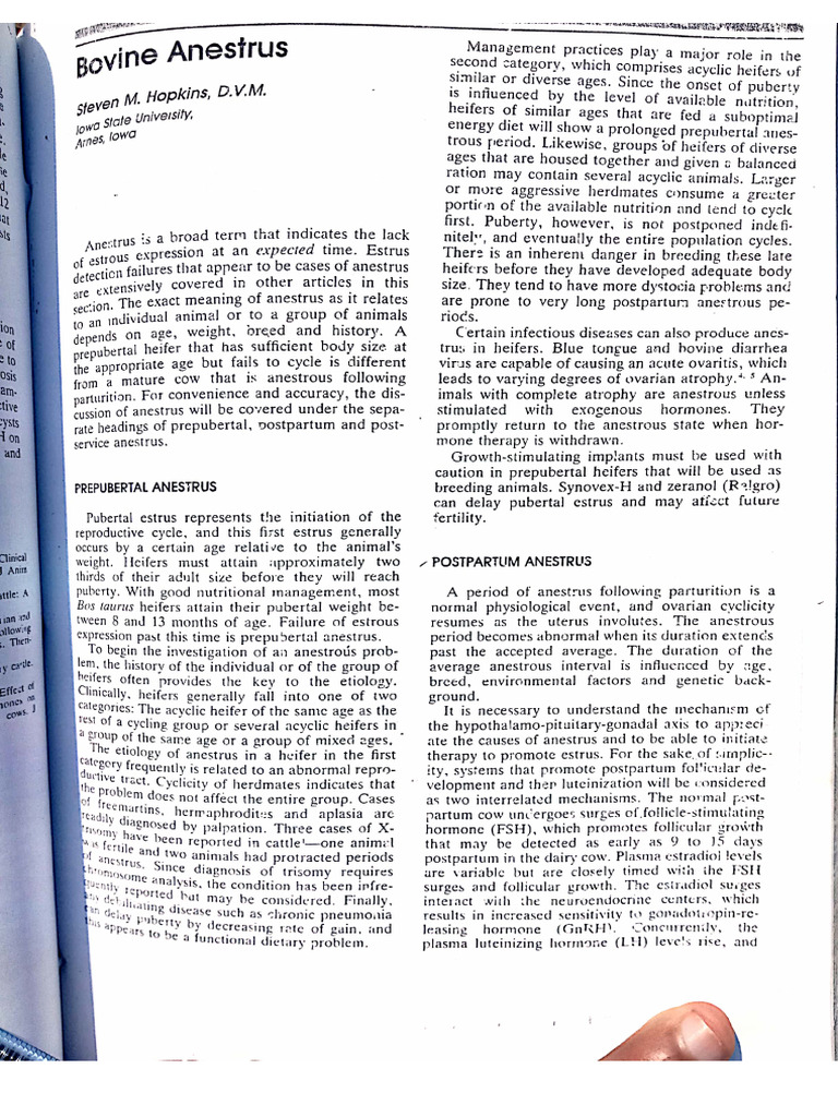 Bovine Anestrus-1 | PDF