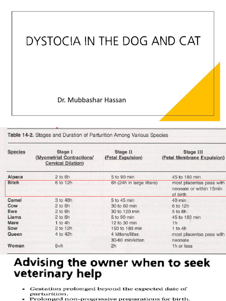 Dystocia in Dog and Cat | PDF