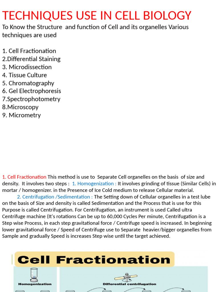 The Cell Complete | PDF | Cell Membrane | Lysosome