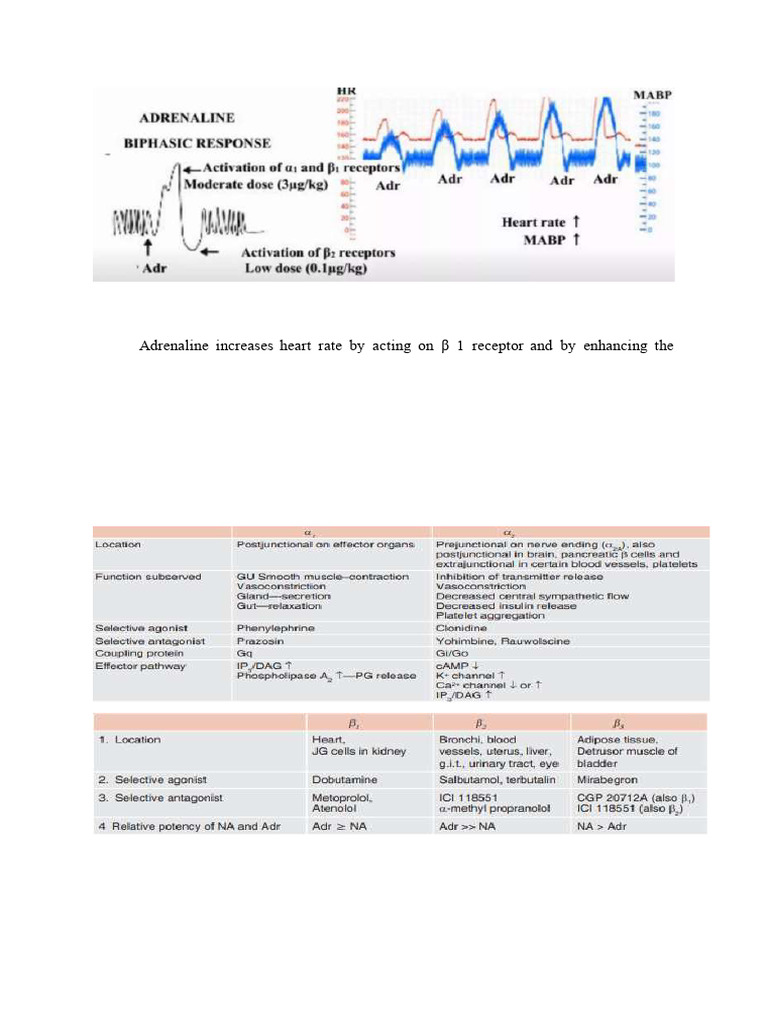 7 - Cal Record Key Part2 | PDF