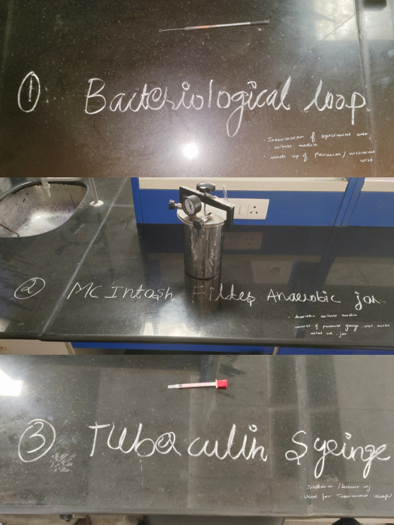 Micro Spotters 1 | PDF