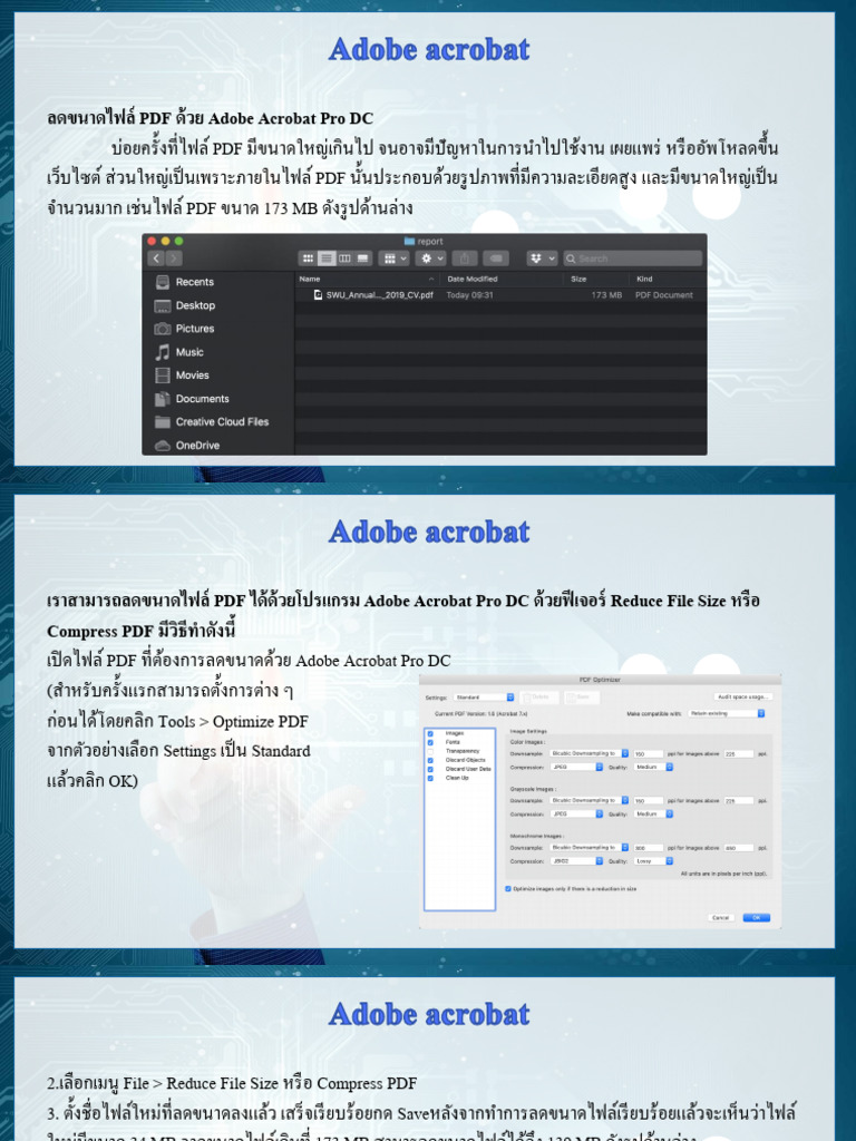 Adobe Acrobat | PDF