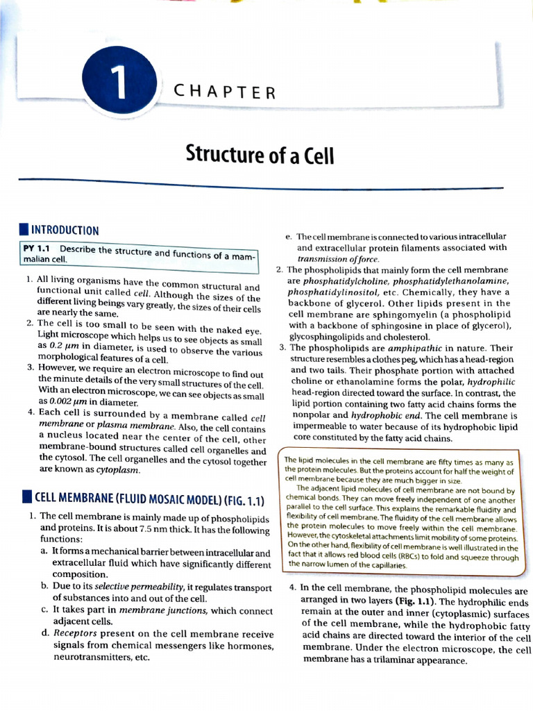 CELL STRUCTURE PDF | PDF | Cell Membrane | Endoplasmic Reticulum