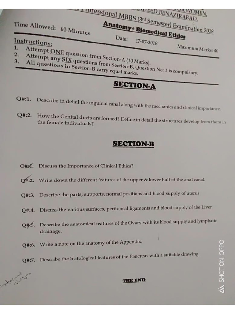Anatomy SEQs Past Paper | PDF
