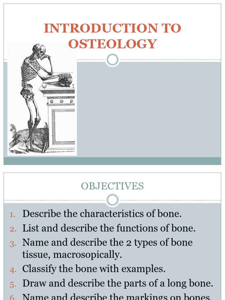 06. Introduction of Osteology | PDF | Bone | Osteoblast