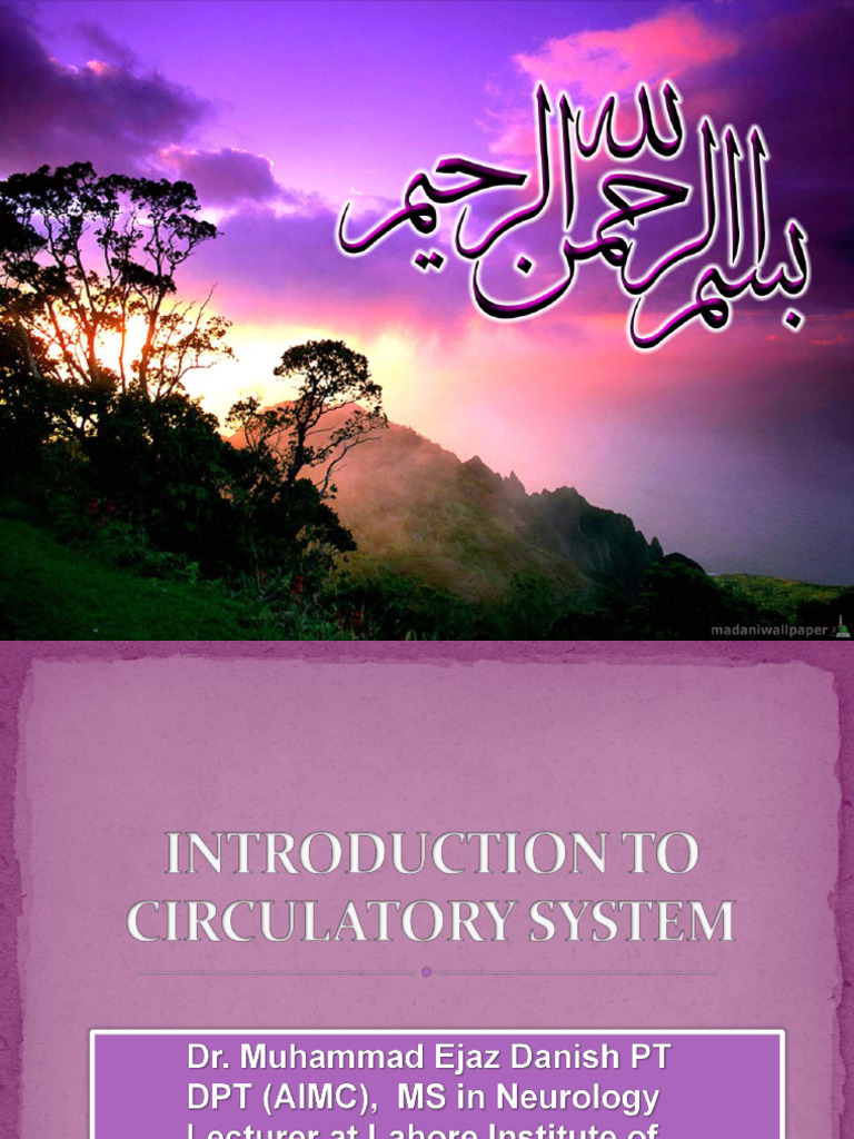 Introduction To Circulatory System | PDF | Lymphatic System | Artery