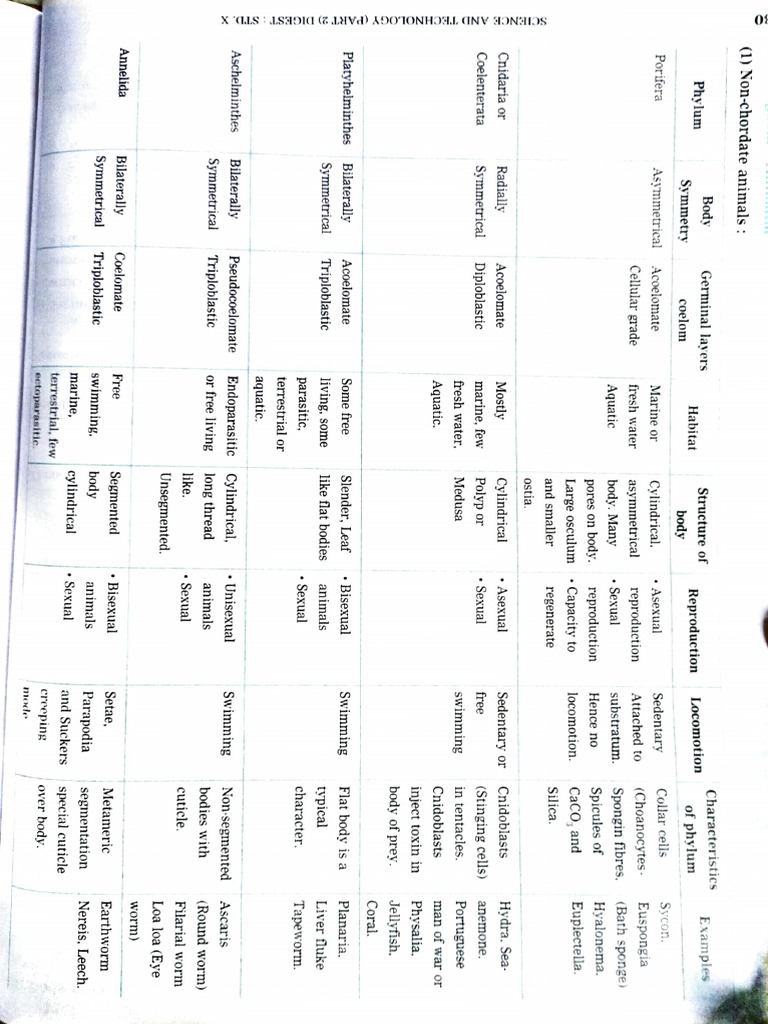 Animal Classification Chart | PDF | Amphibian | Zoology