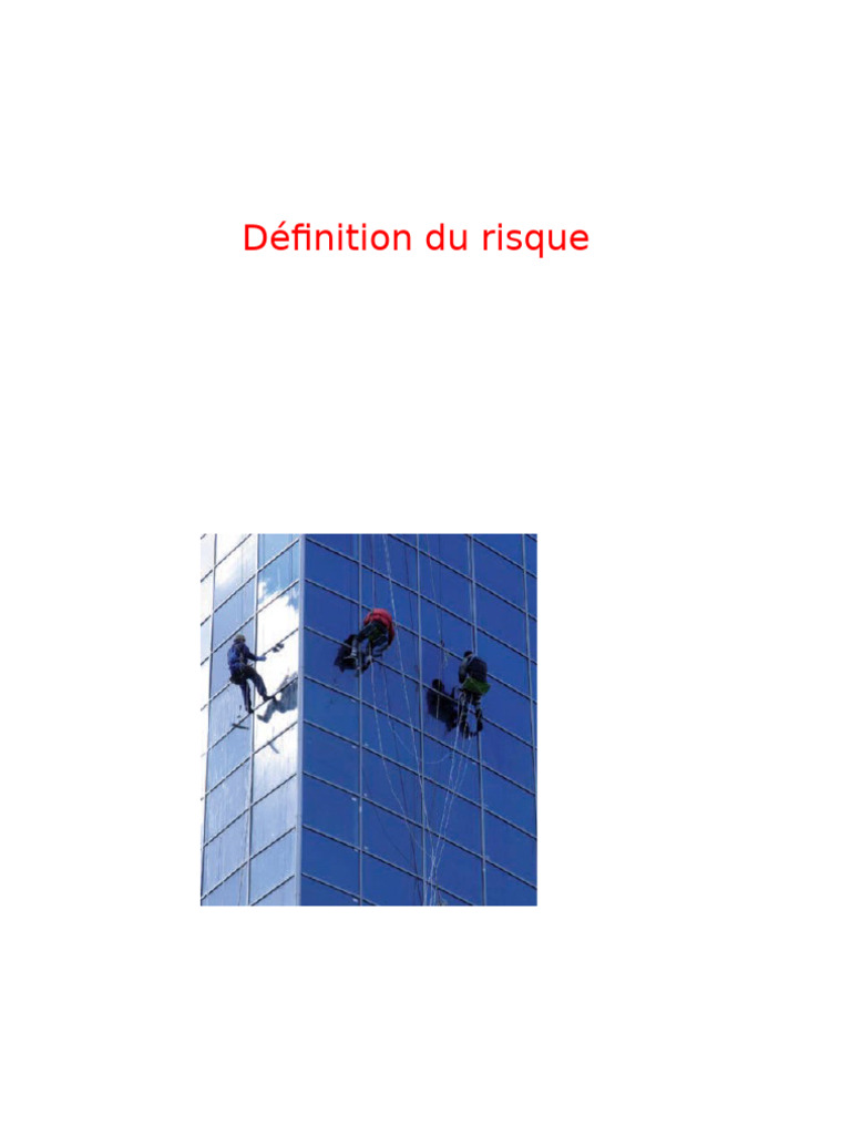 Comprendre le risque et ses facteurs | PDF