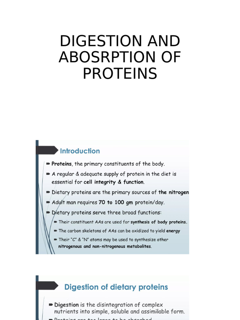 Protein Digestion and Absorption Guide | PDF