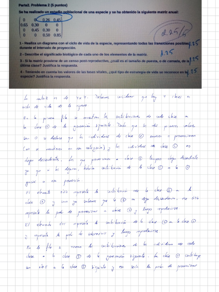 Los Deberes de Matrices Resueltos | PDF