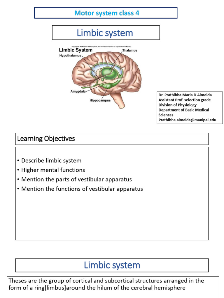 Nervous System 5 | PDF | Limbic System | Memory