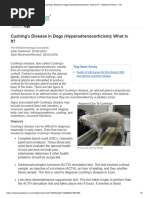Cushings QOL | PDF | Dogs