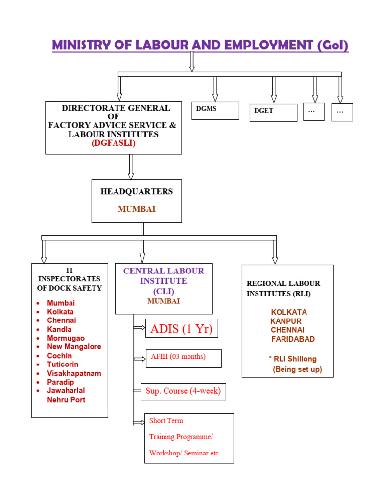 0-2-DGFASLI-Organisation Chart | PDF