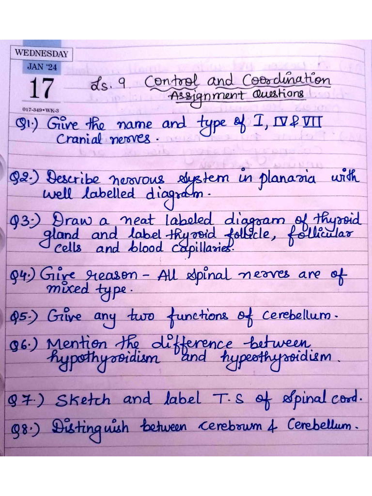 STD 12 Ls.9 Bio Assignment | PDF