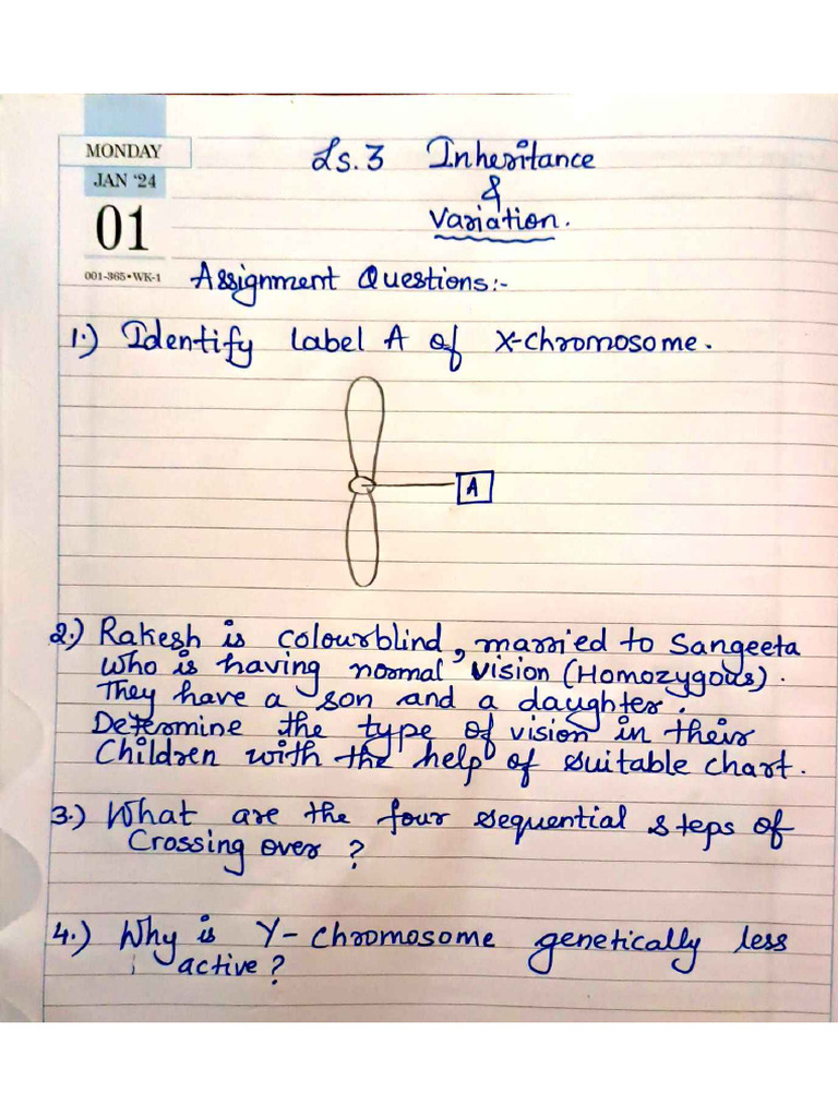 Ch 3 Assignment(Biology) | PDF