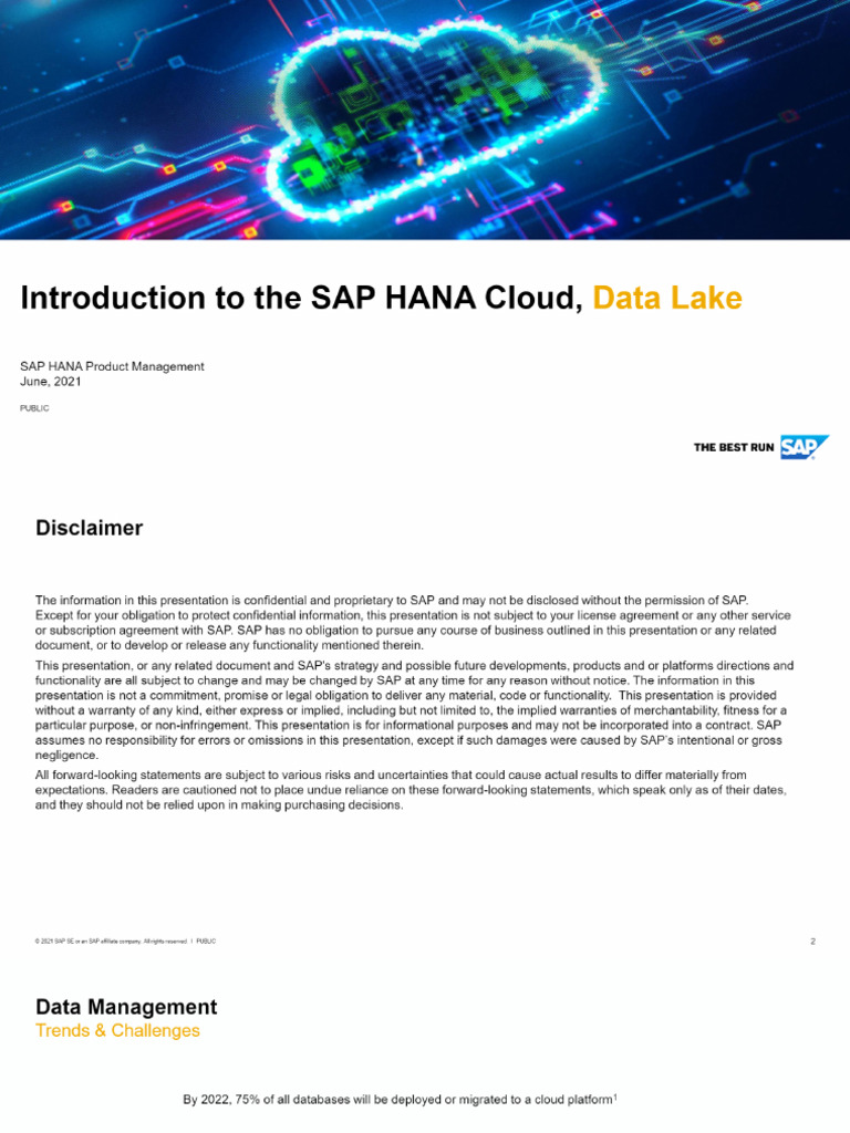SAP HANA Cloud, Data Lake Overview | PDF